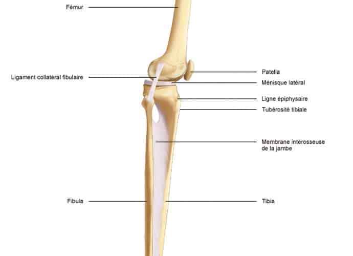 Définition, symptômes et diagnostic de la luxation du genou | Dr Paillard